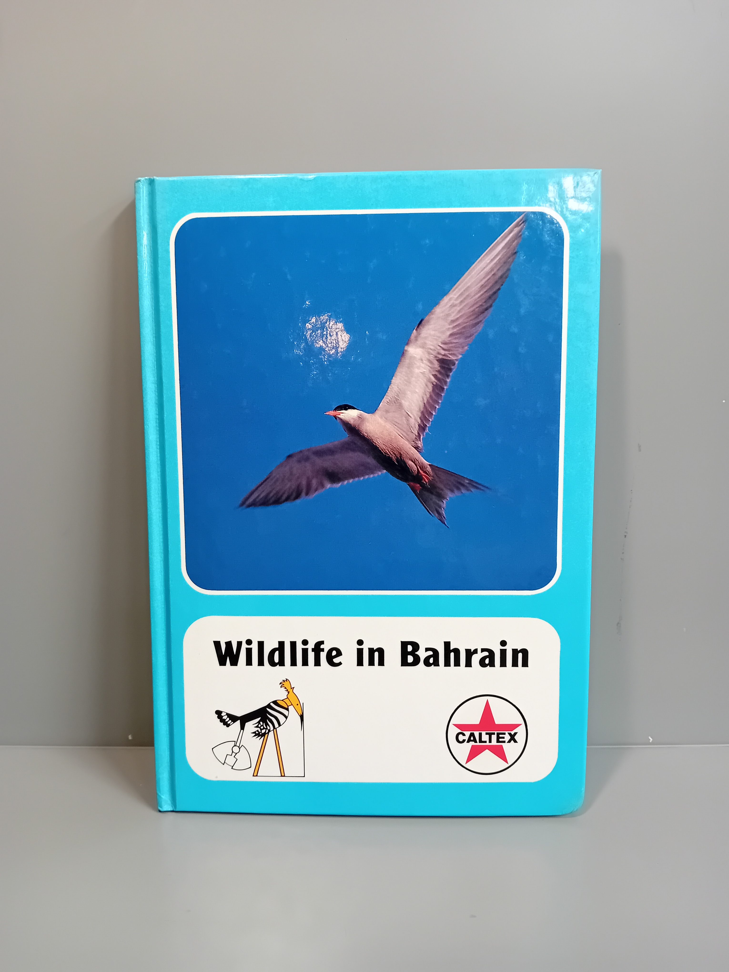 Wildlife in Bahrain - Bahrain Natural History Society - 1984 - Zerzura ...